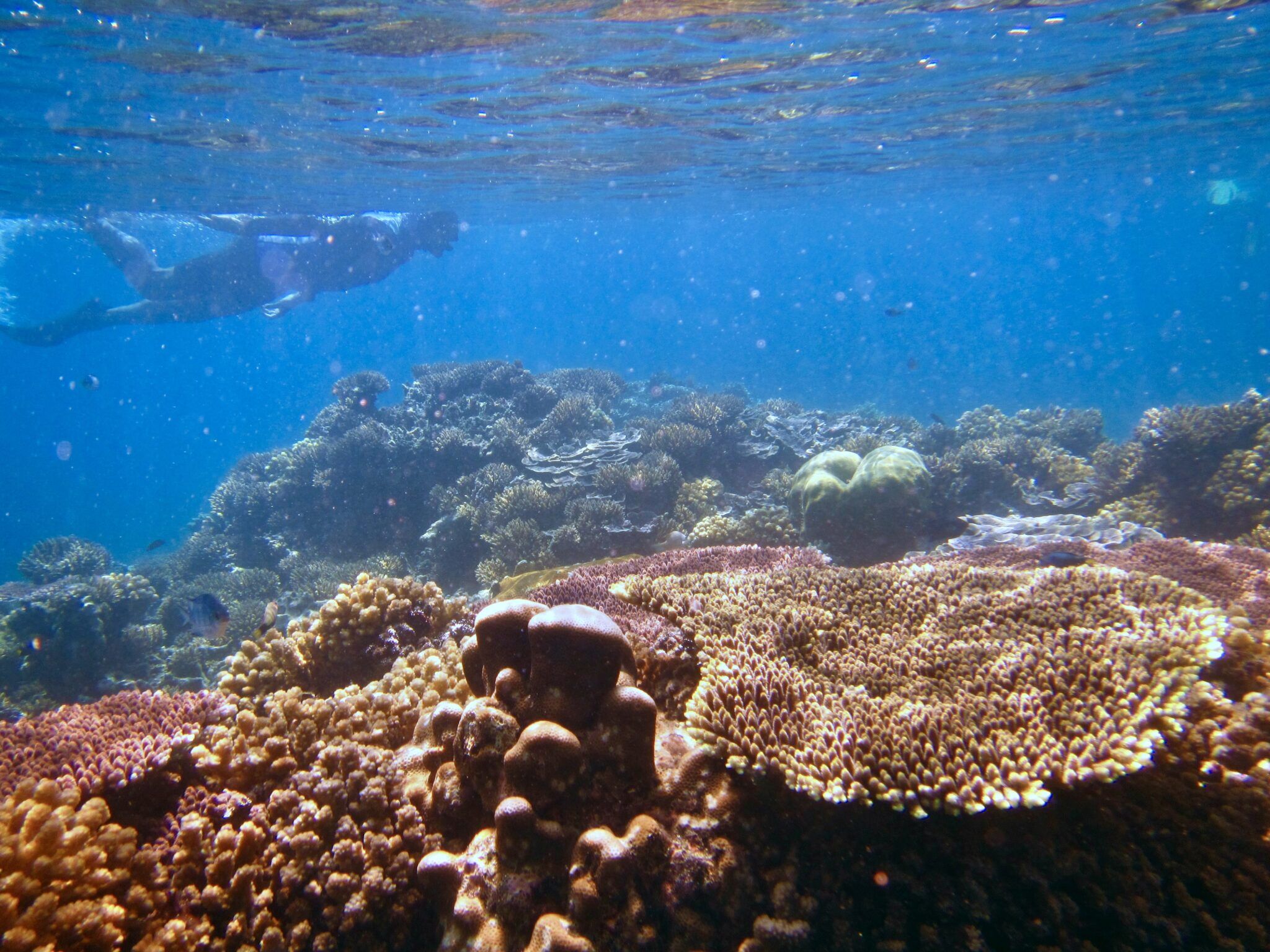 Visit Information for Tioman Marine Park